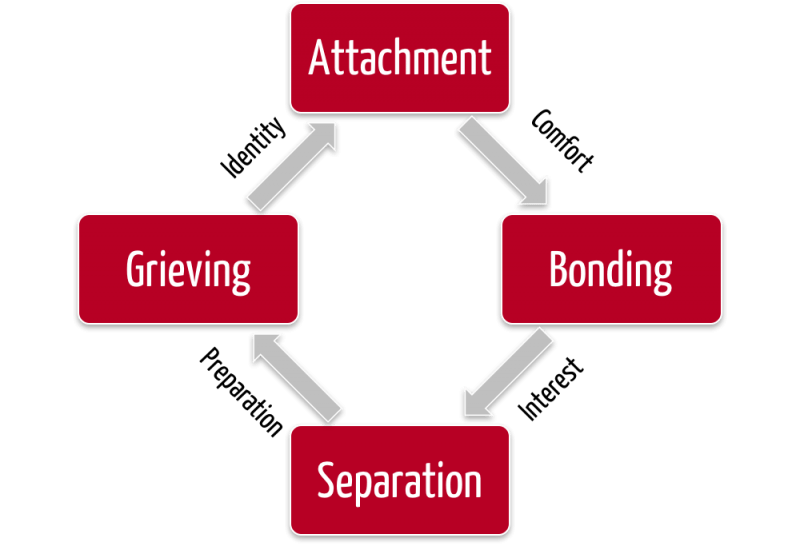 Luis Huete | Empowering the heart of business